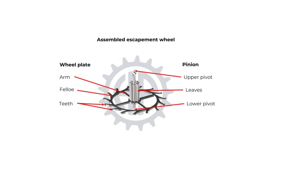 ESCAPE WHEEL - Horopedia