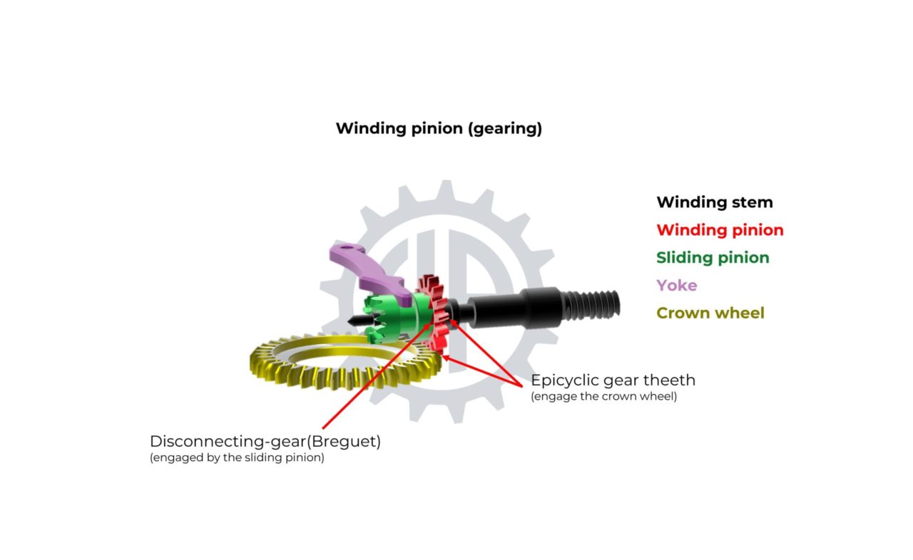 WINDING PINION - Horopedia